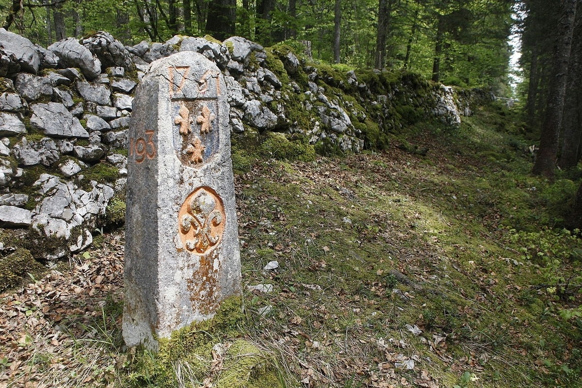 La forêt française depuis Colbert | Conflits : Revue de Géopolitique